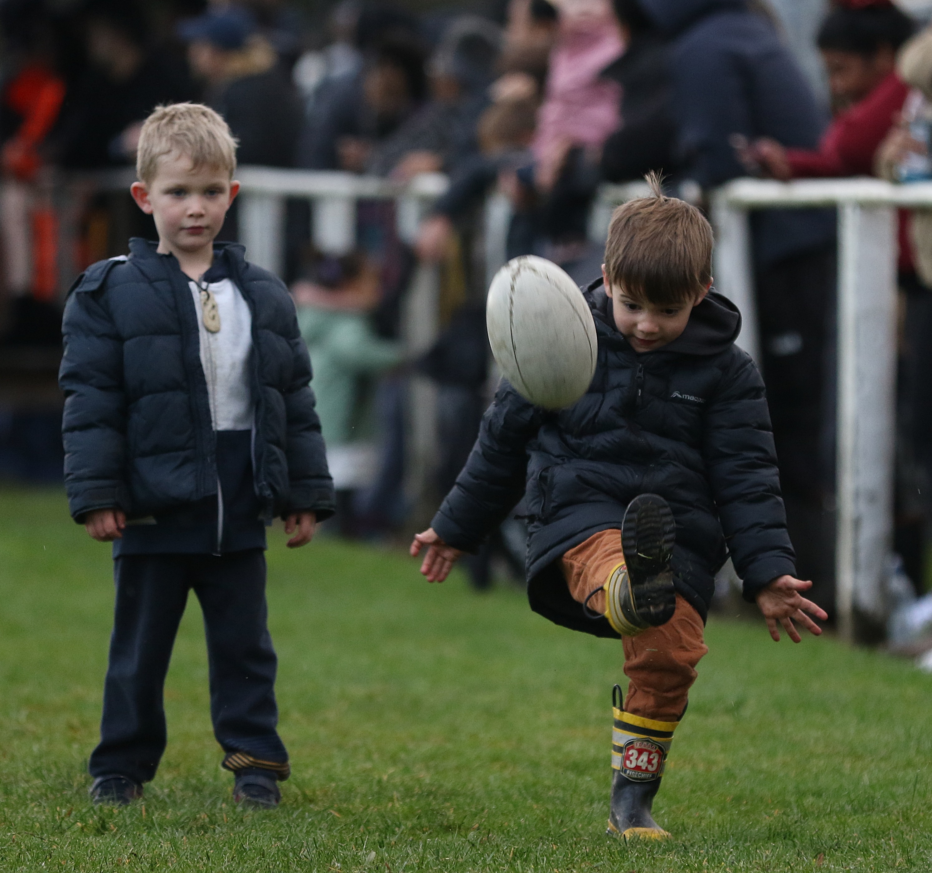 The Fox – The Fox and the Crow